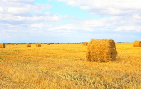 The 9 Steps to Conservation Planning | National Conservation Planning ...